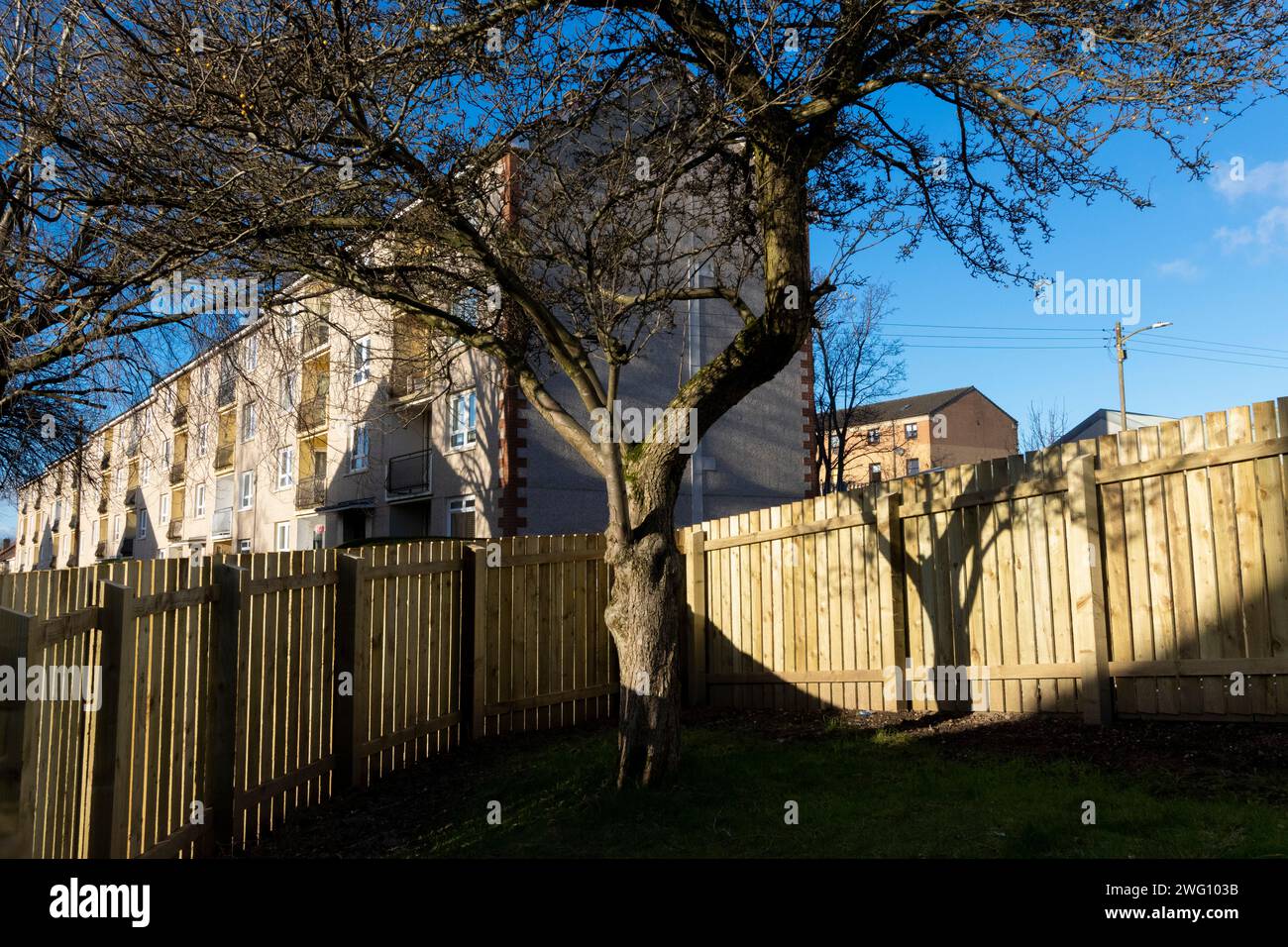 Suburban landscape with trees, blank wooden fence, houses and blue sky ...