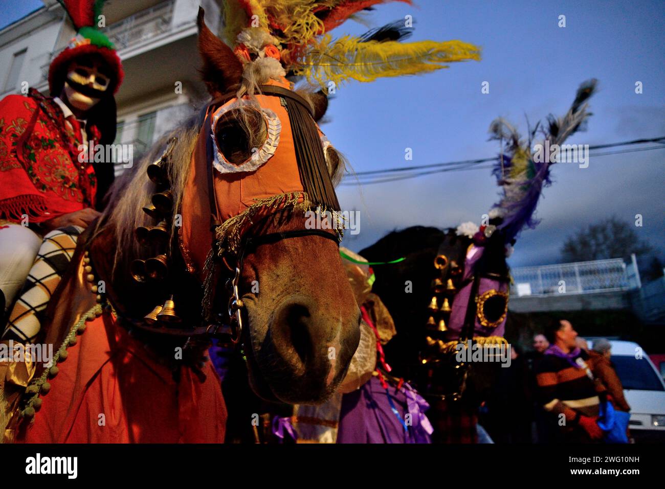 Mask and horses of Salceda de Caselas (Pontevedra) in Vibo Mask meeting ...
