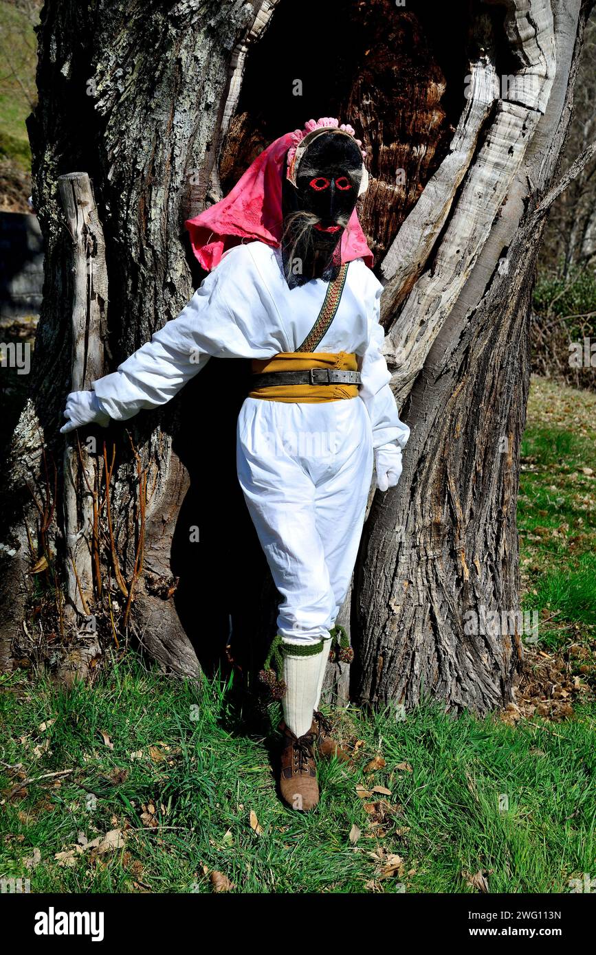 Reina conso hi-res stock photography and images - Alamy