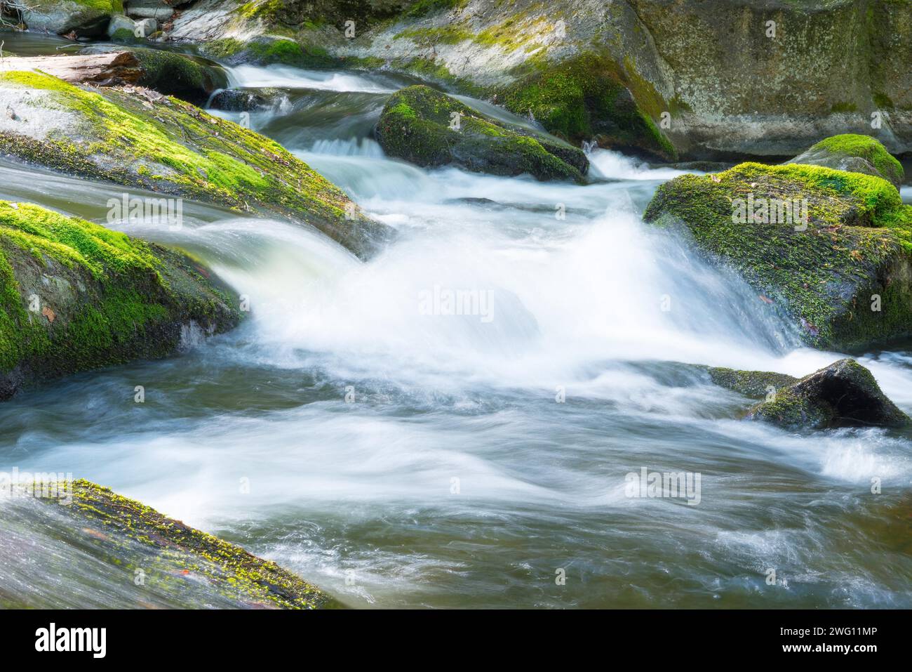 River flows over stones little hi-res stock photography and images - Alamy