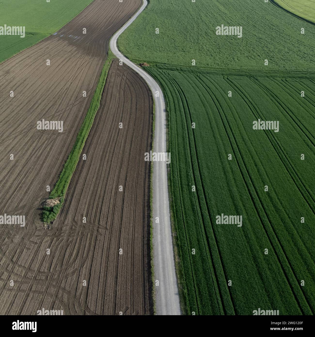 Agriculture land, different arable crops and traces of cultivation ...