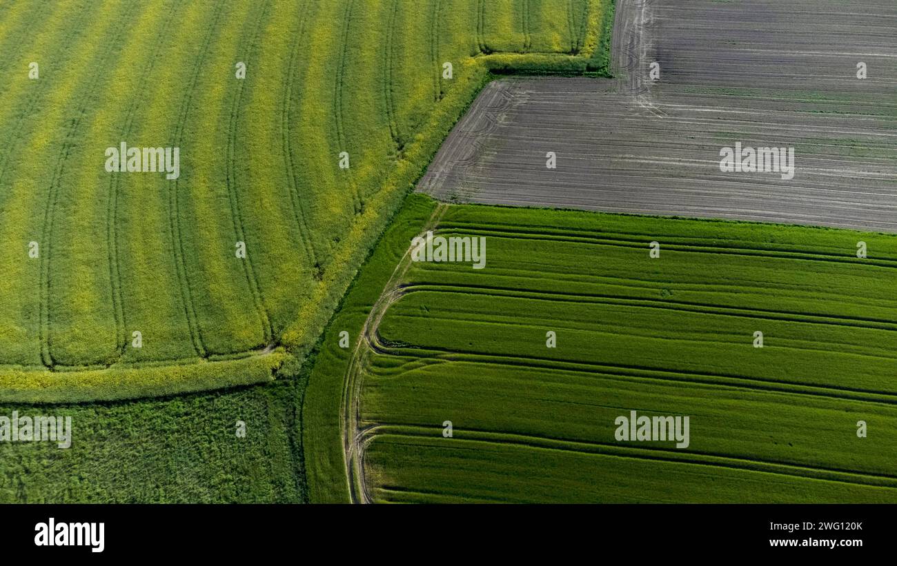 Agriculture land, different arable crops and traces of cultivation ...