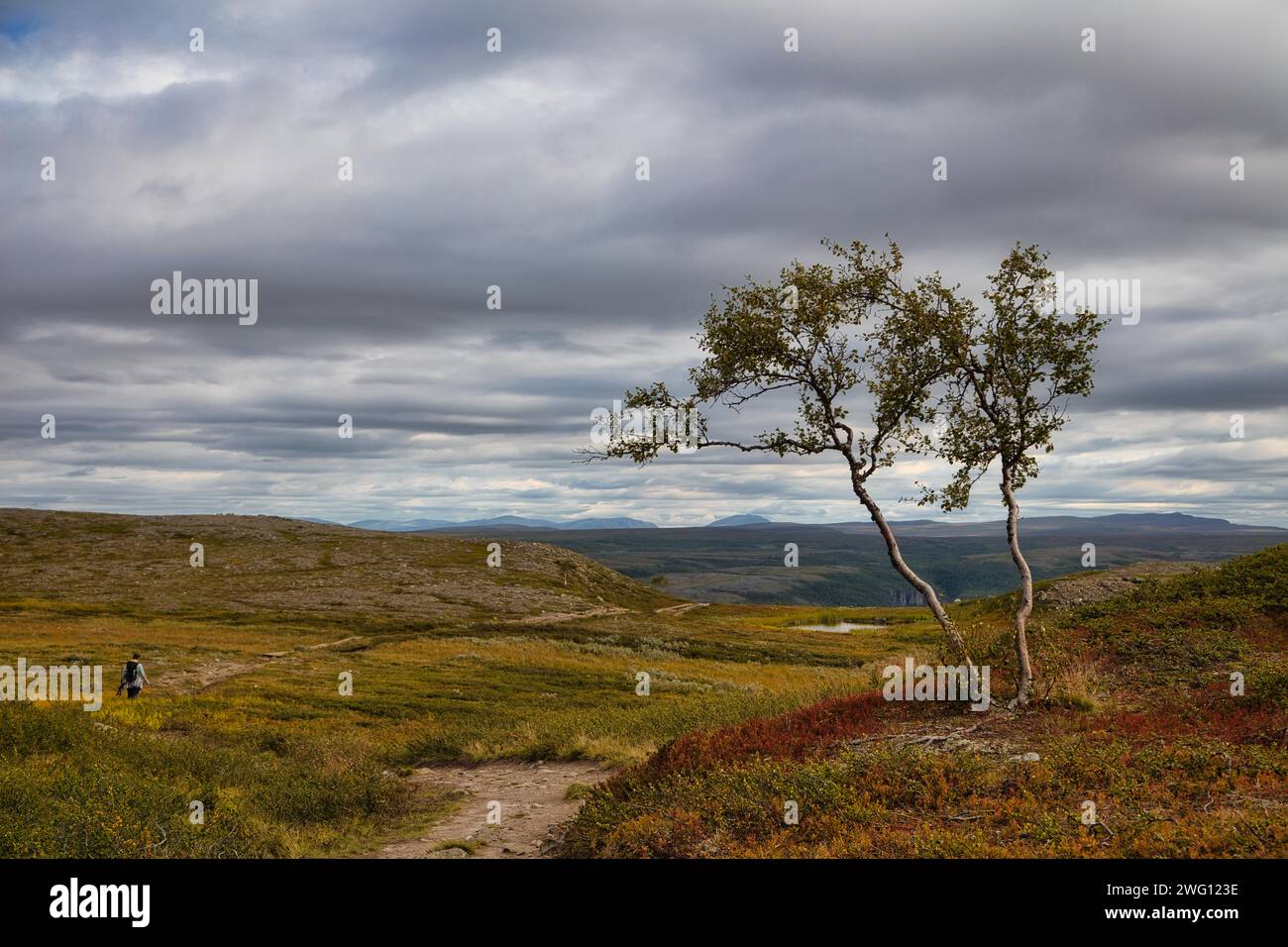 Hiking trail to the Alta Gorge, Finnmark plateau, near Alta, Arctic ...