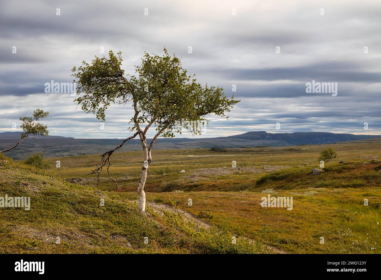 Hiking trail to the Alta Gorge, Finnmark plateau, near Alta, Arctic ...