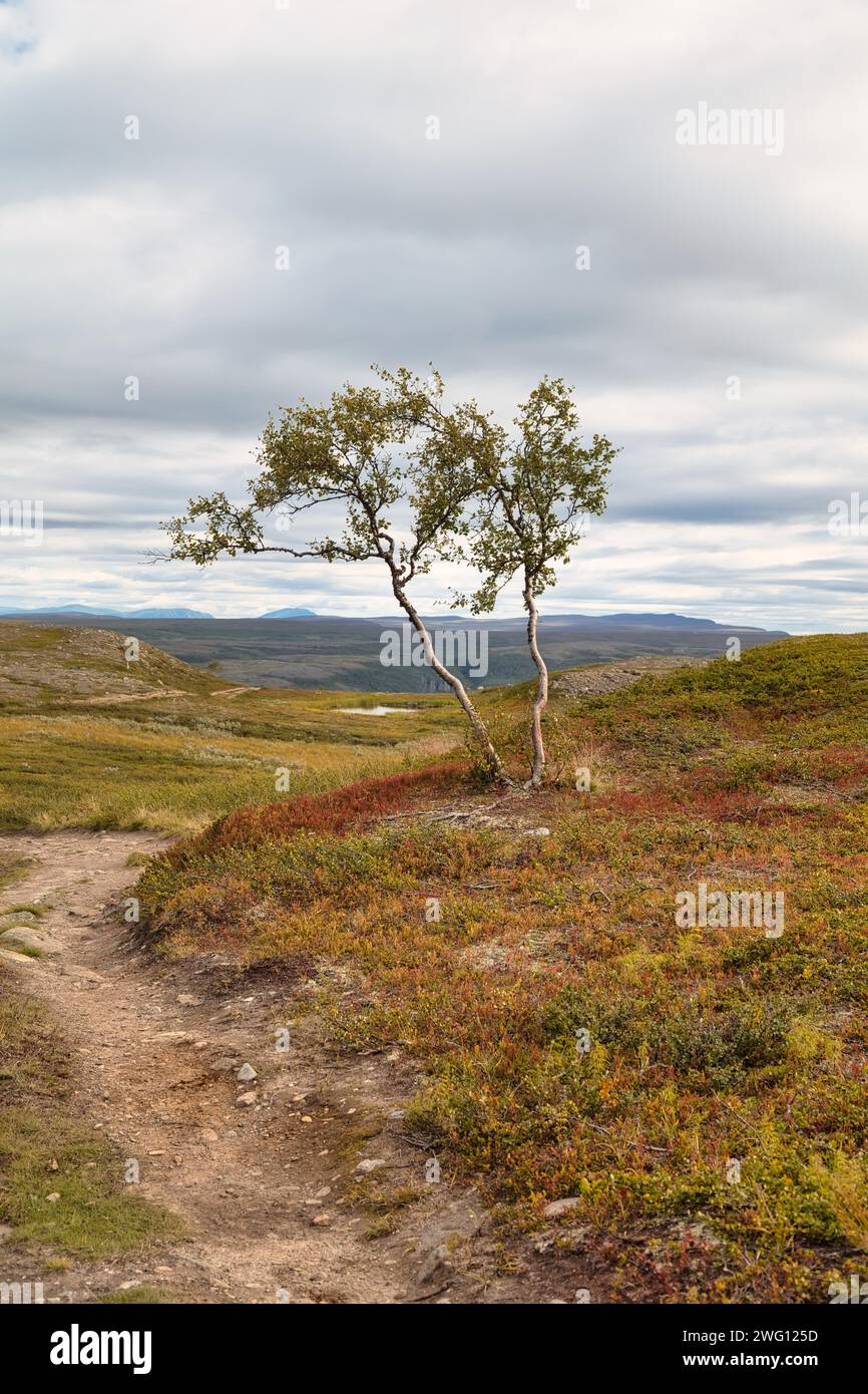 Hiking trail to the Alta Gorge, Finnmark plateau, near Alta, Arctic ...