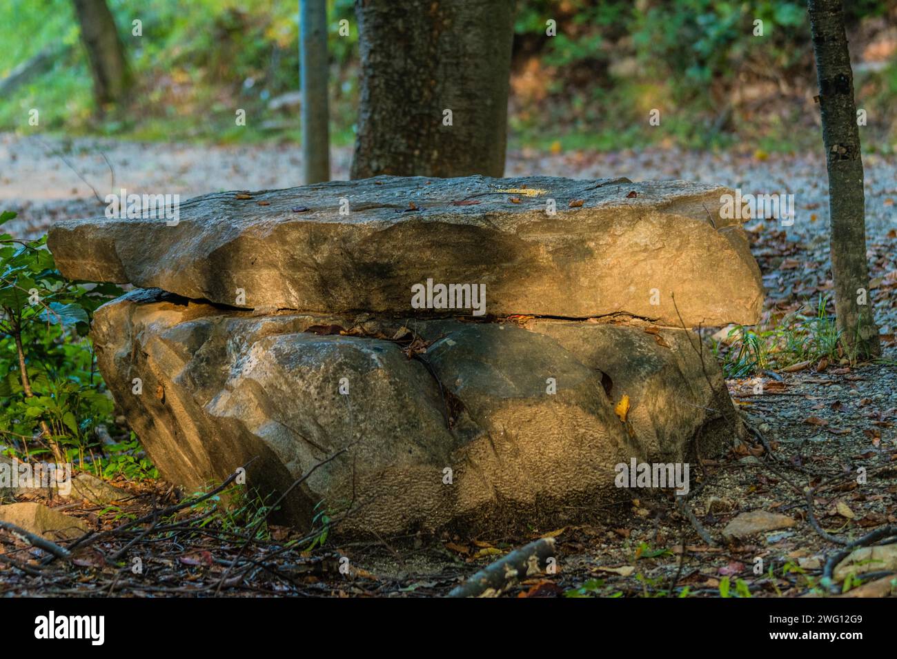 Large flat boulder next to a rocky trail in a woodland mountain park in ...