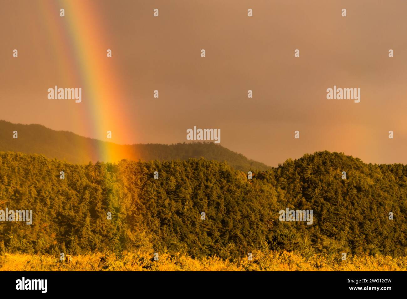 Rainbow touching of colors on a cloudy day breaking through the clouds ...