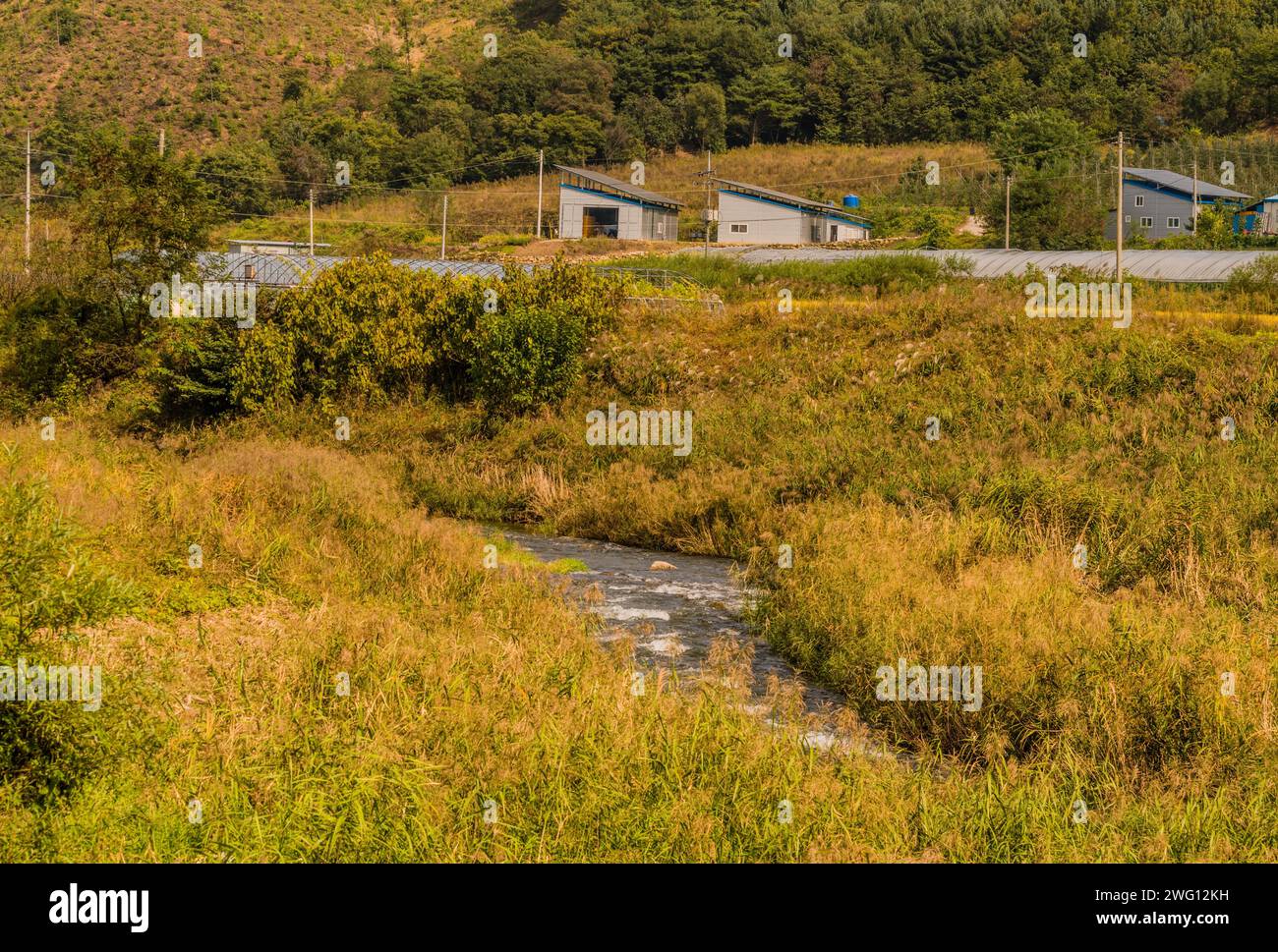 Landscape of small stream running through a rural area with buildings ...