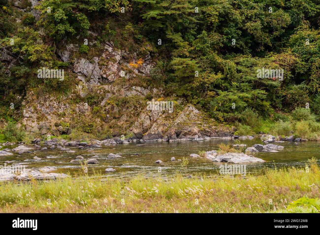 Tranquil scene of river flowing through countryside with tress in fall ...