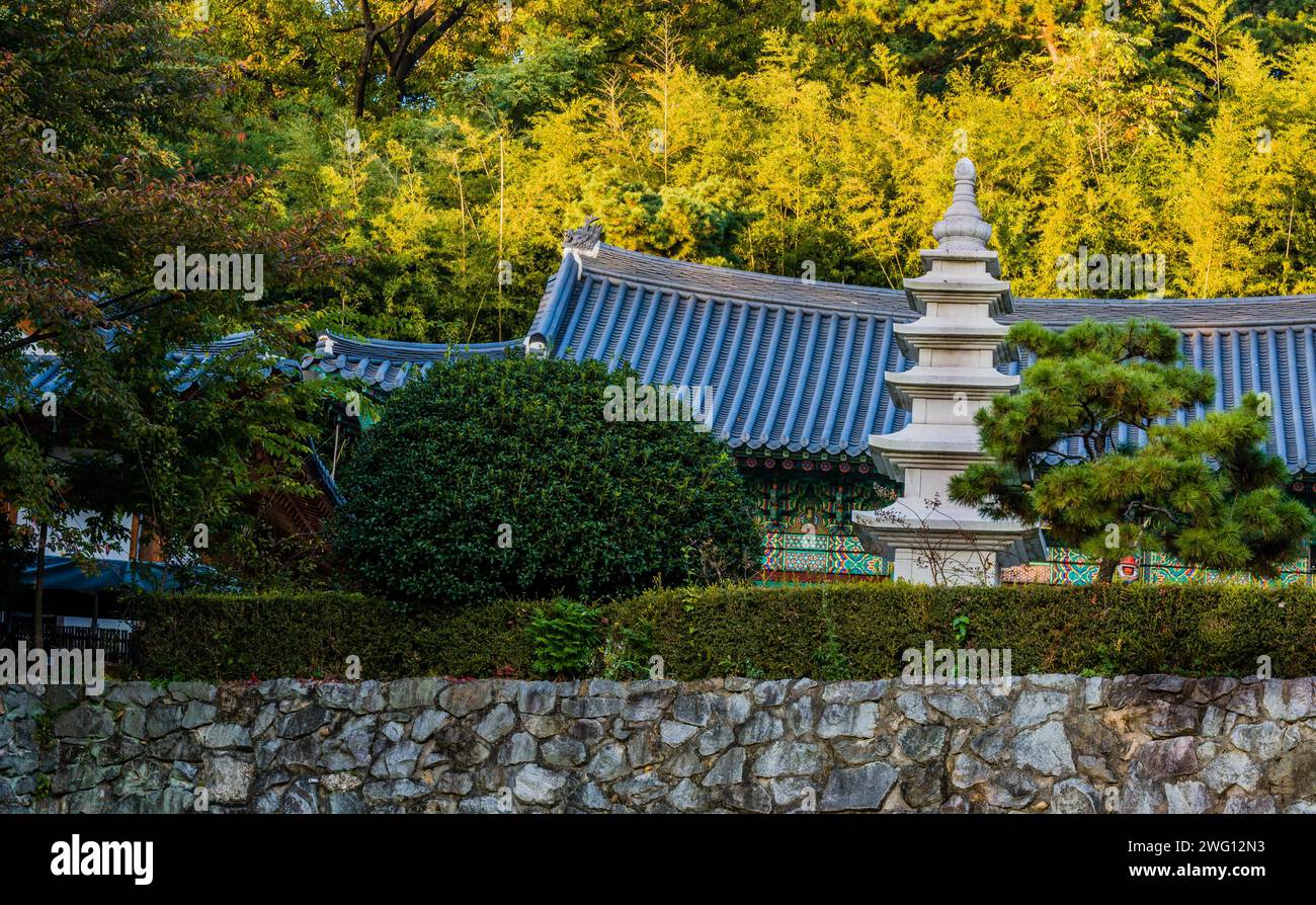 Korean stone pagoda in front of tiled roof buildings nestled in dense ...