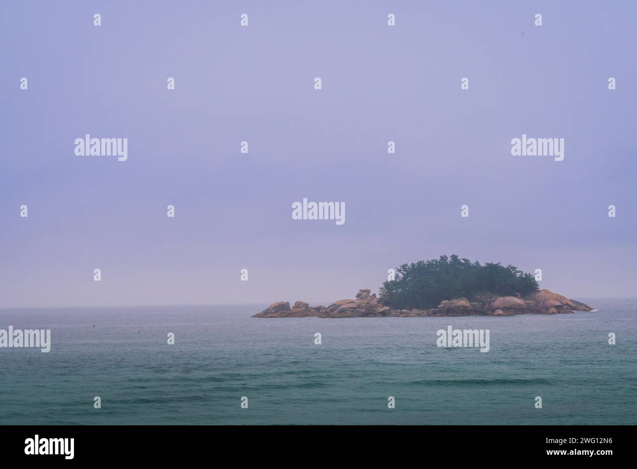 Small isolated island with small green trees on a gray misty morning ...