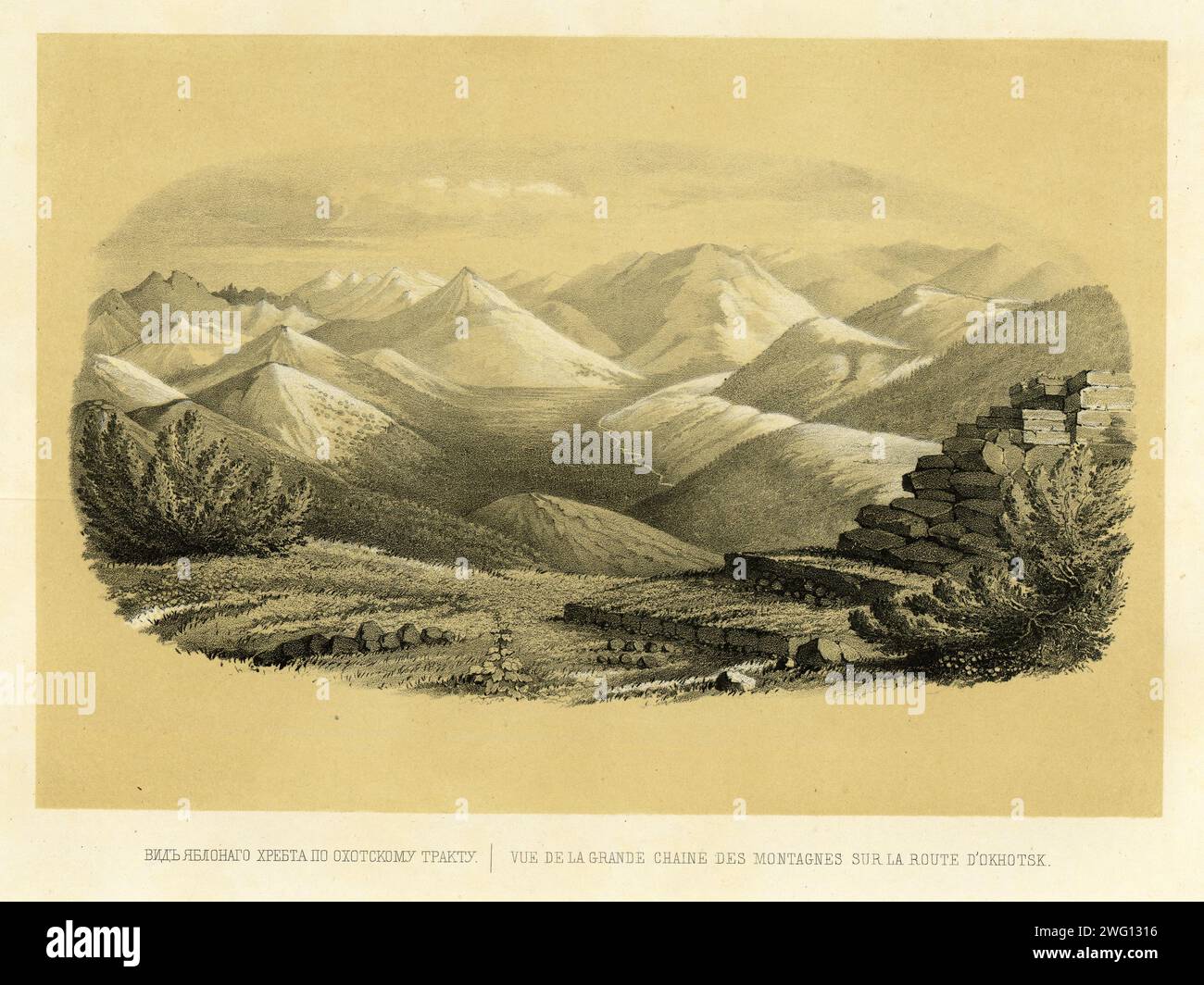 Yablonoi hi-res stock photography and images - Alamy