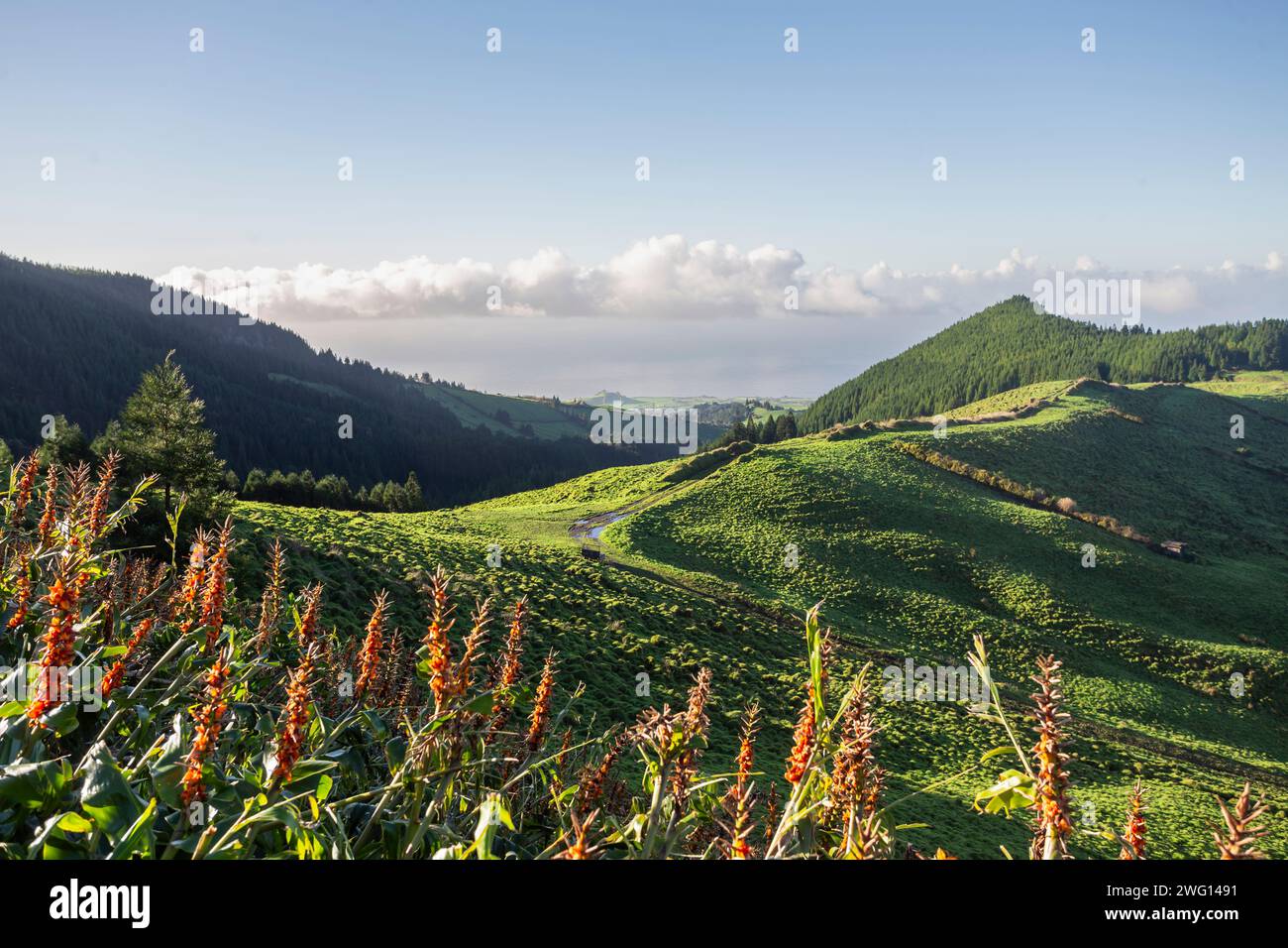São Miguel island in the Azores with the beautiful landscapes and green ...