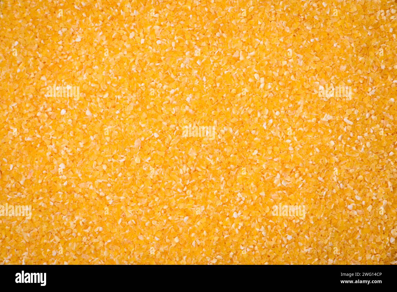 Corn grains or particles are yellow in color when raw. Cooking ...