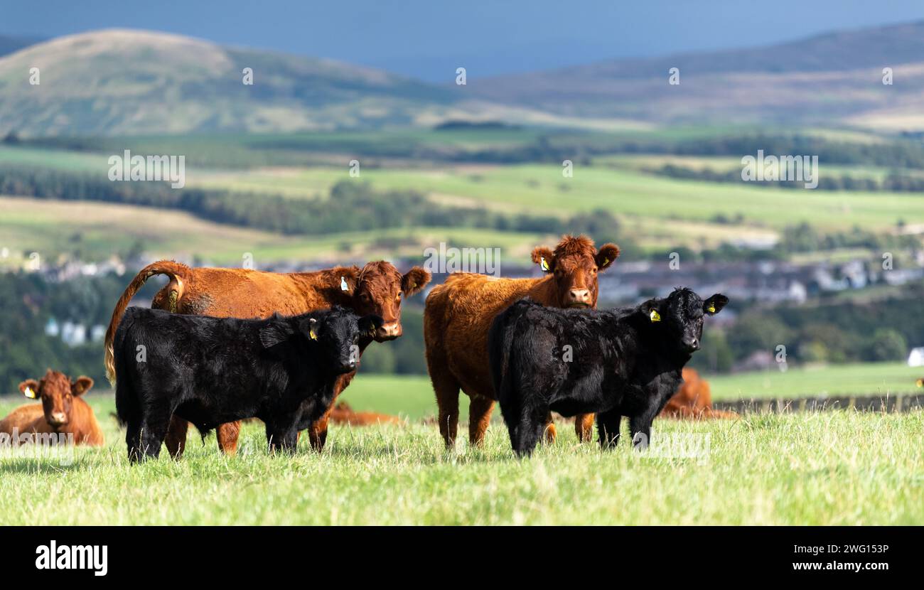 Foot of hill hi-res stock photography and images - Alamy