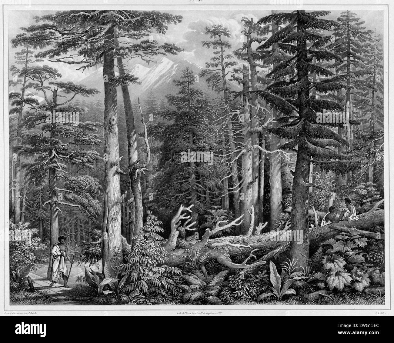 Sitka island Black and White Stock Photos & Images - Alamy