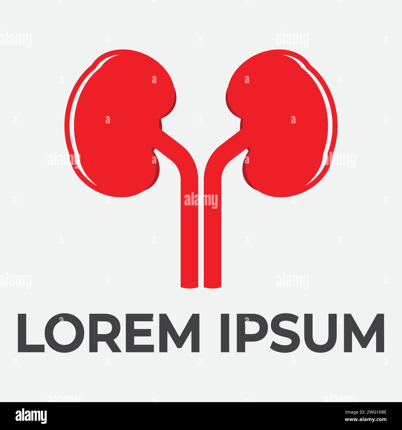 Kidney emblem vector design logo illustration Stock Vector Image & Art ...