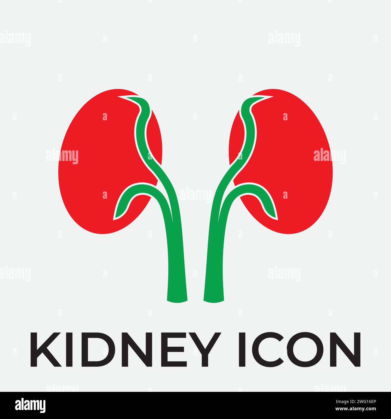 Kidney emblem vector design logo illustration Stock Vector Image & Art ...