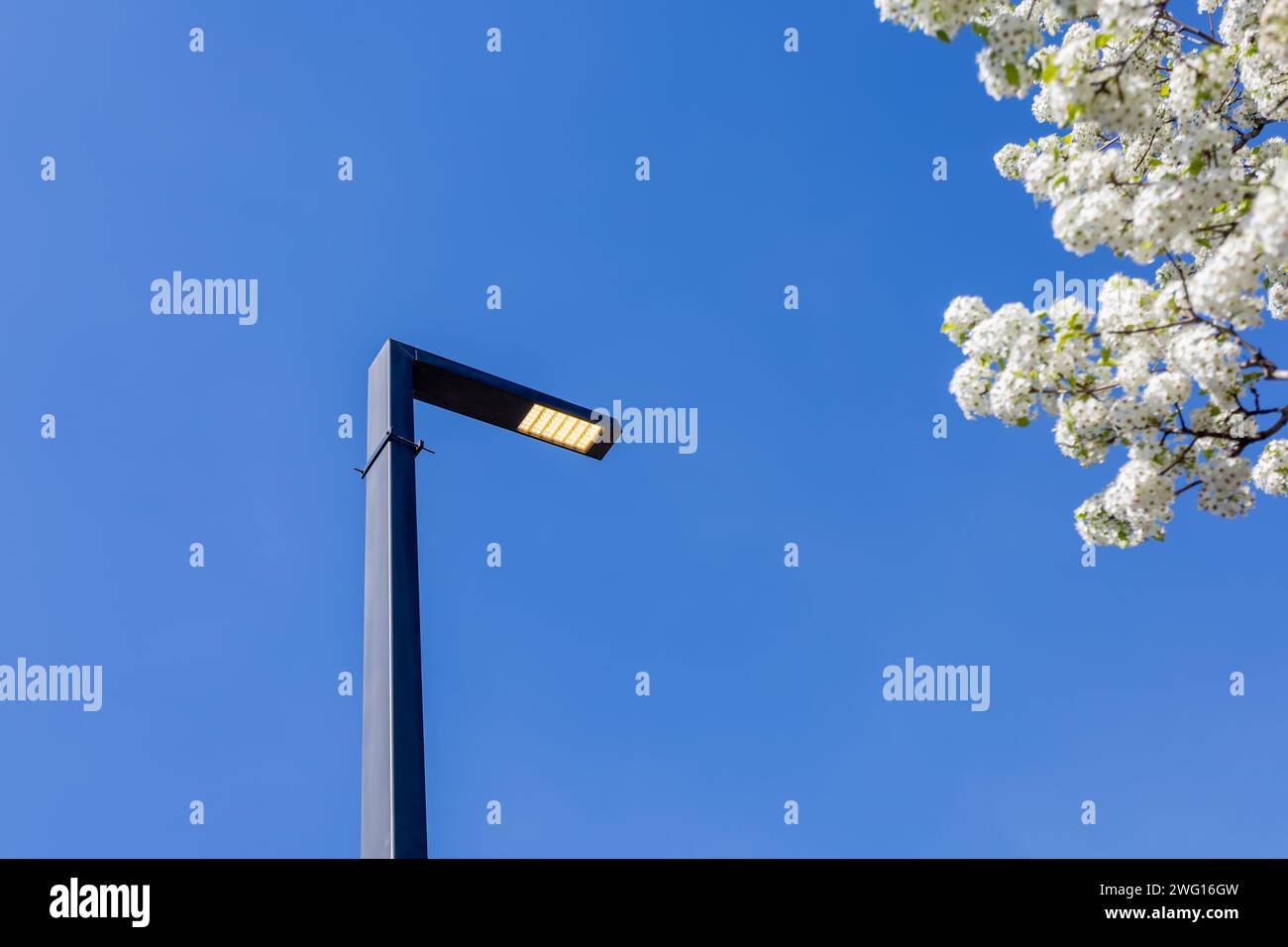 Led lighting pole new hi-res stock photography and images - Alamy