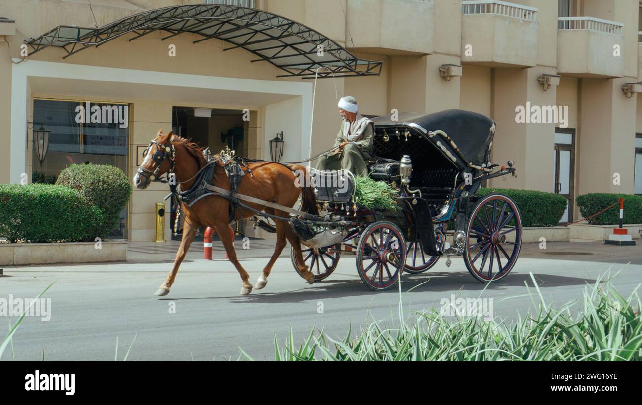 Egypt luxor chariot hi-res stock photography and images - Alamy