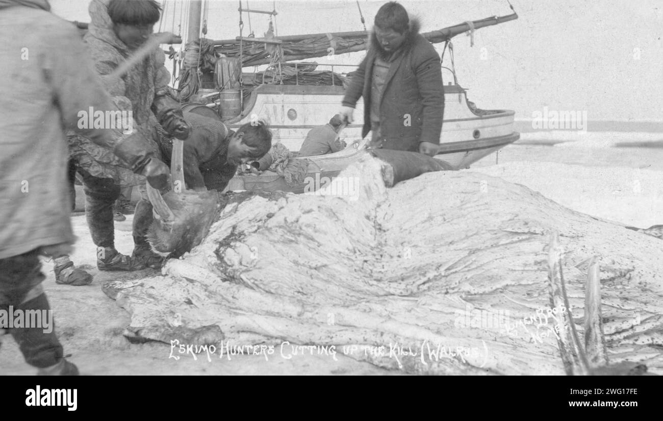Walrus hunting Black and White Stock Photos & Images - Alamy
