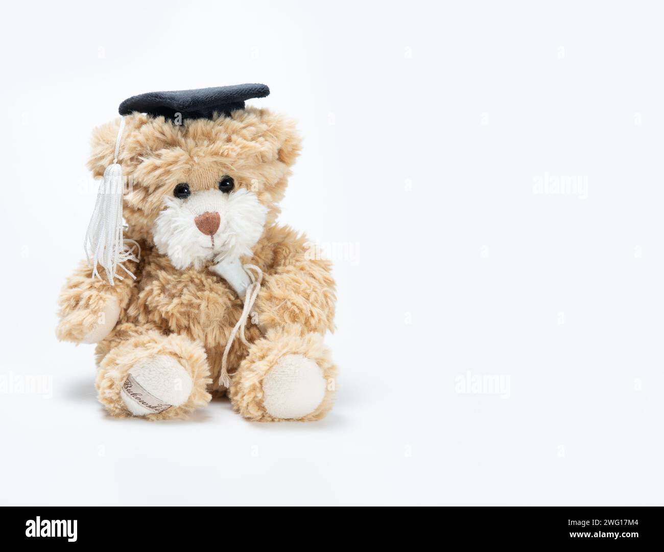Teddy Bear Graduation. White Background Stock Photo - Alamy