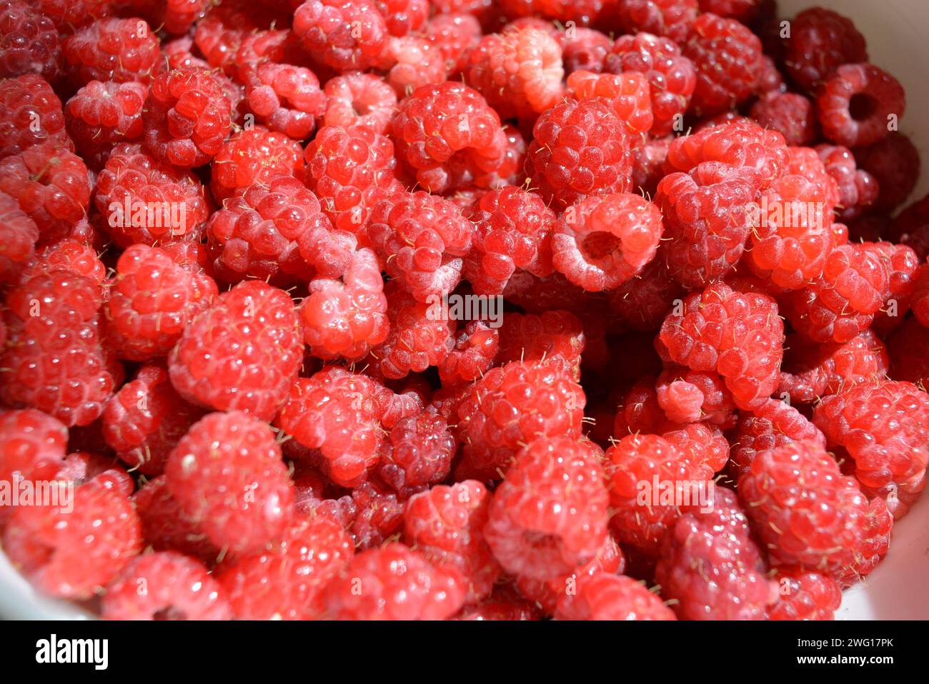 Healthy food, fresh fruits, red, juicy, ripe raspberries from homemade ...