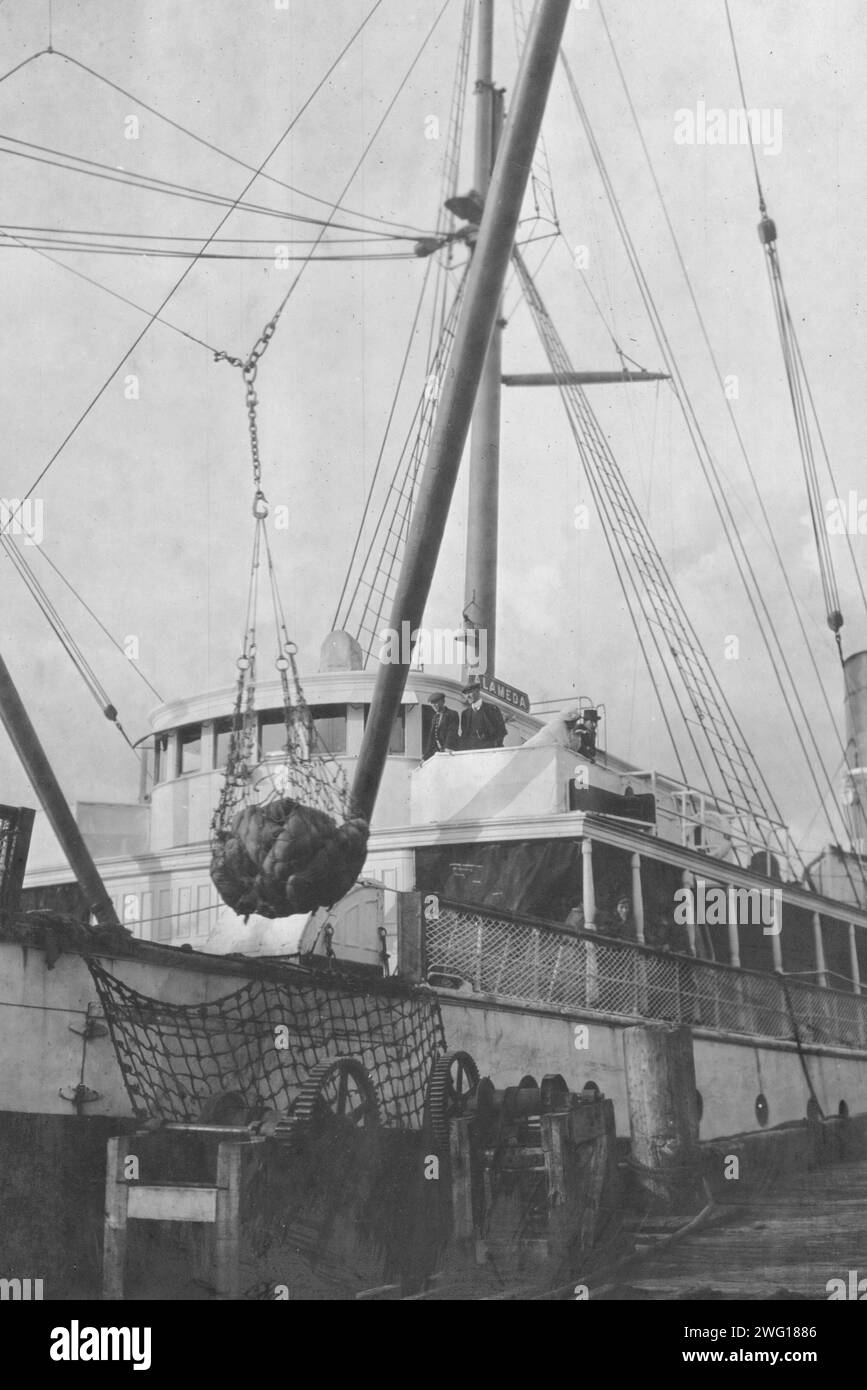 Loading copper on ship, between c1900 and 1916 Stock Photo - Alamy