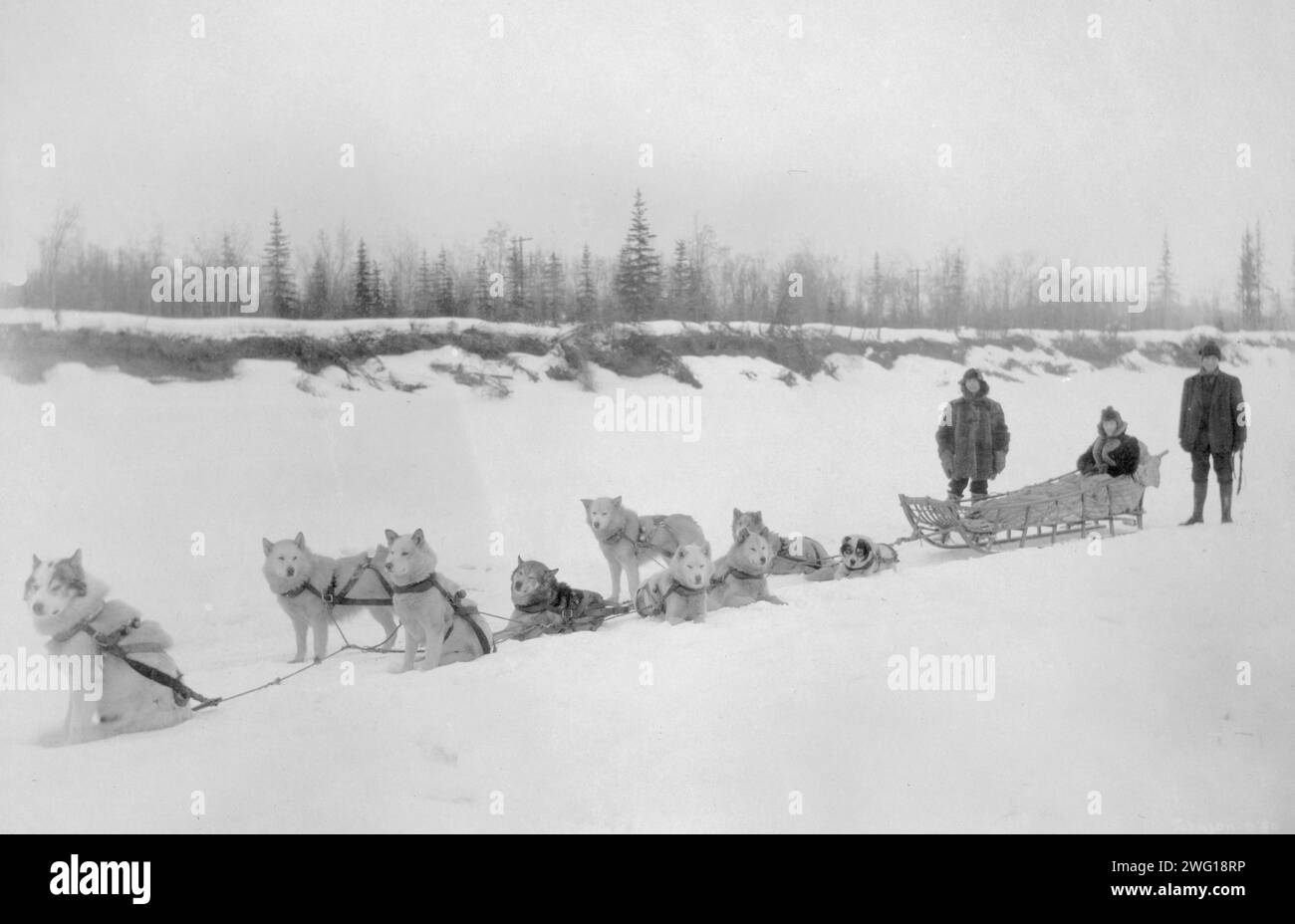 Dog sled team sled dogs Black and White Stock Photos & Images - Alamy
