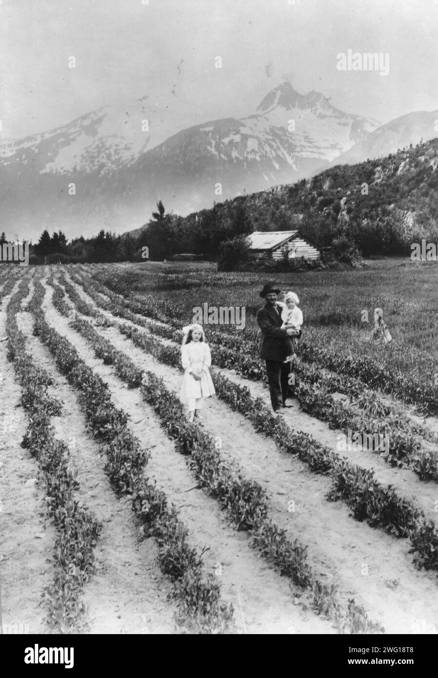 Scene on farm in southeastern Alaska, where small fruits and vegetables ...
