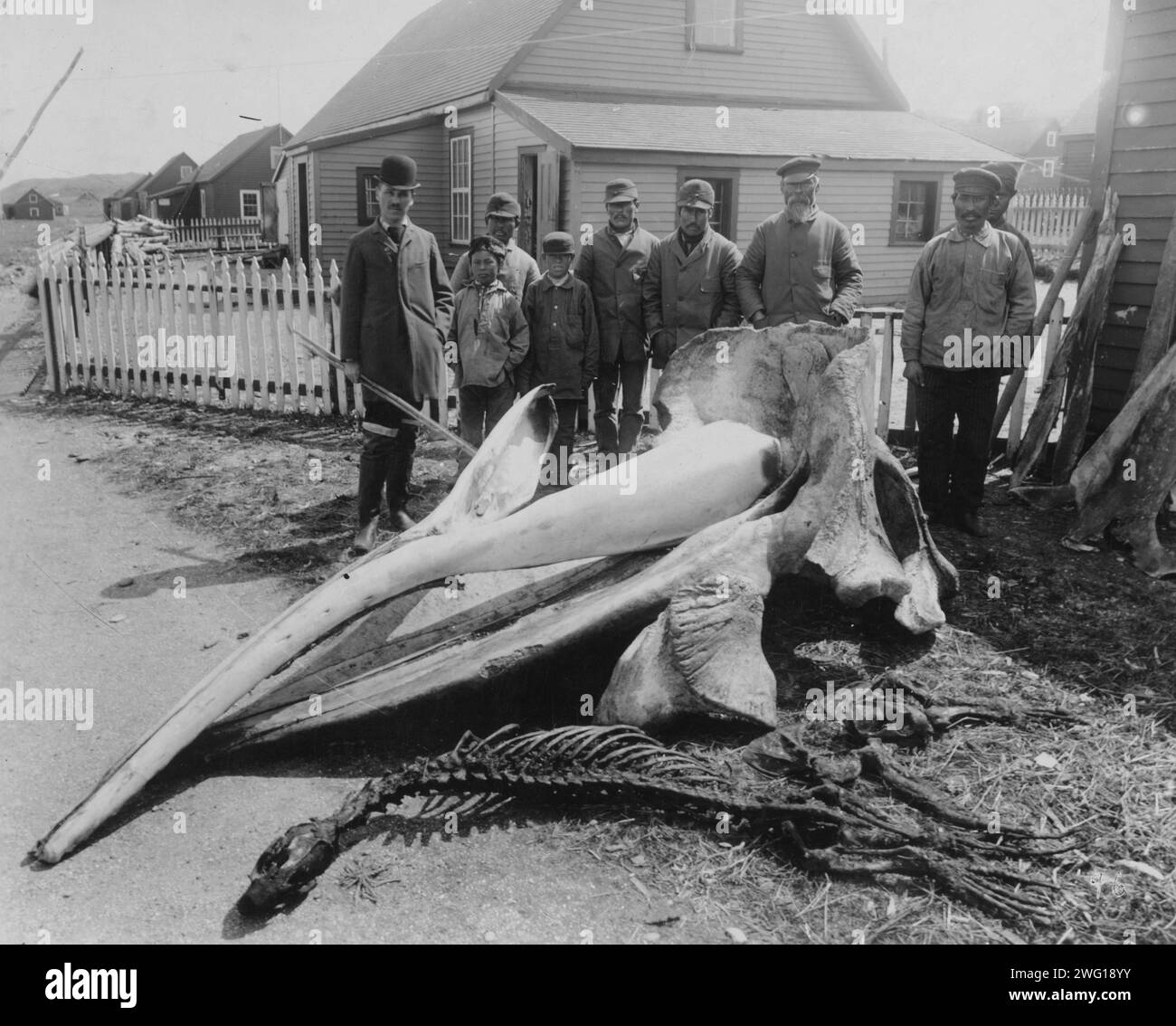 Whale bone house Black and White Stock Photos & Images - Alamy