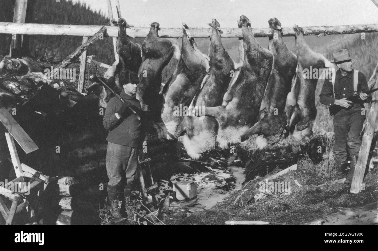 Caribou carcass hi-res stock photography and images - Alamy