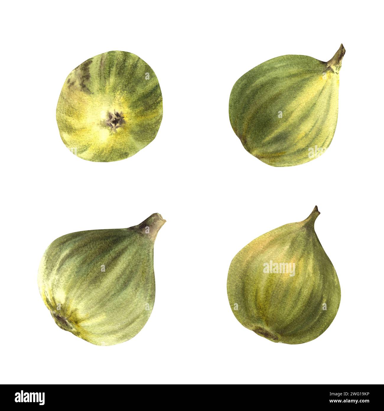 Figs logo hi-res stock photography and images - Alamy