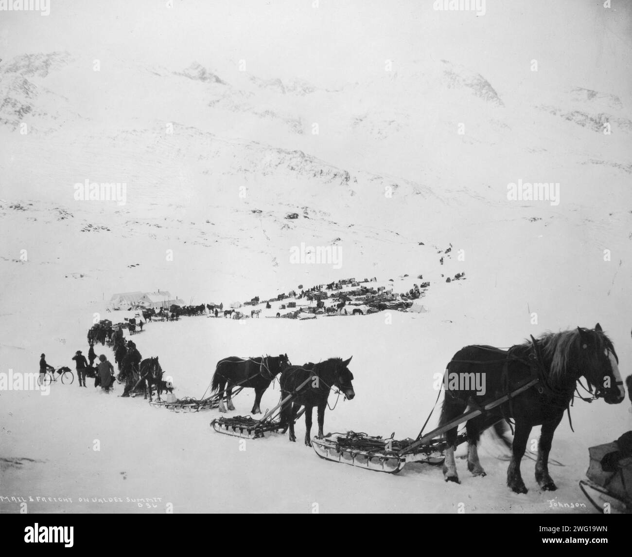 Transportation by horses, mules, dogs and bicycle, between c1900 and ...
