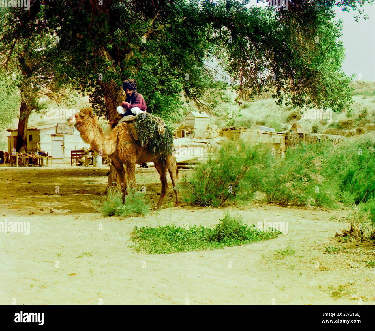Man on camel buildings hi-res stock photography and images - Alamy