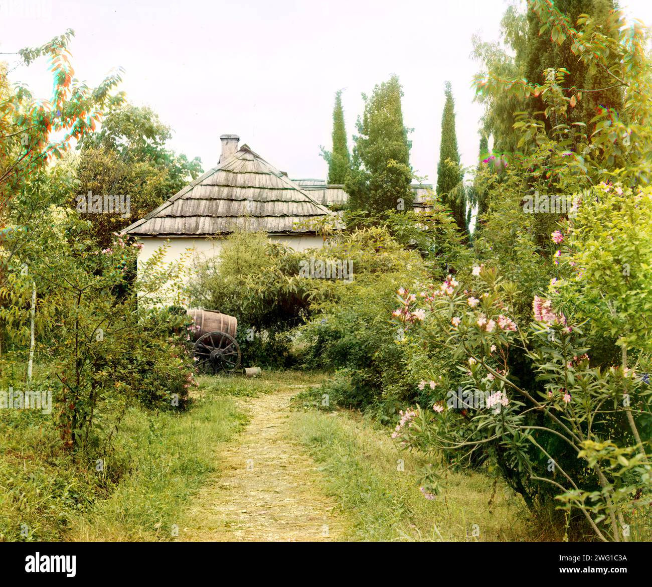 In the monastery's garden, Novyi Afon, between 1905 and 1915. Fruit ...