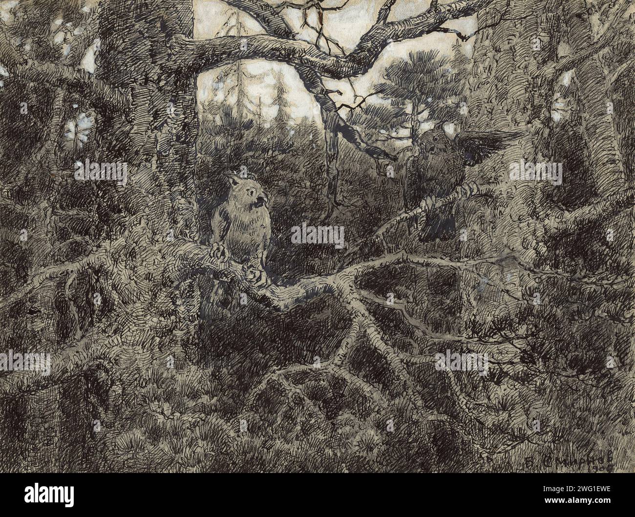 Taiga siberia paper hi-res stock photography and images - Alamy