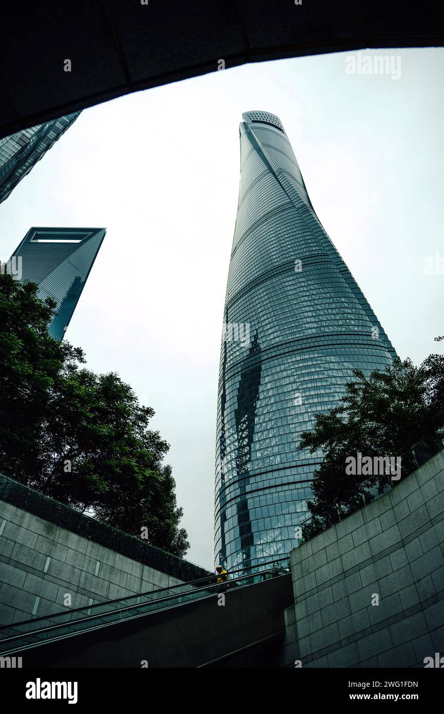 twisted skyscraper with leaves in Shanghai, China (Shanghai Tower Stock ...