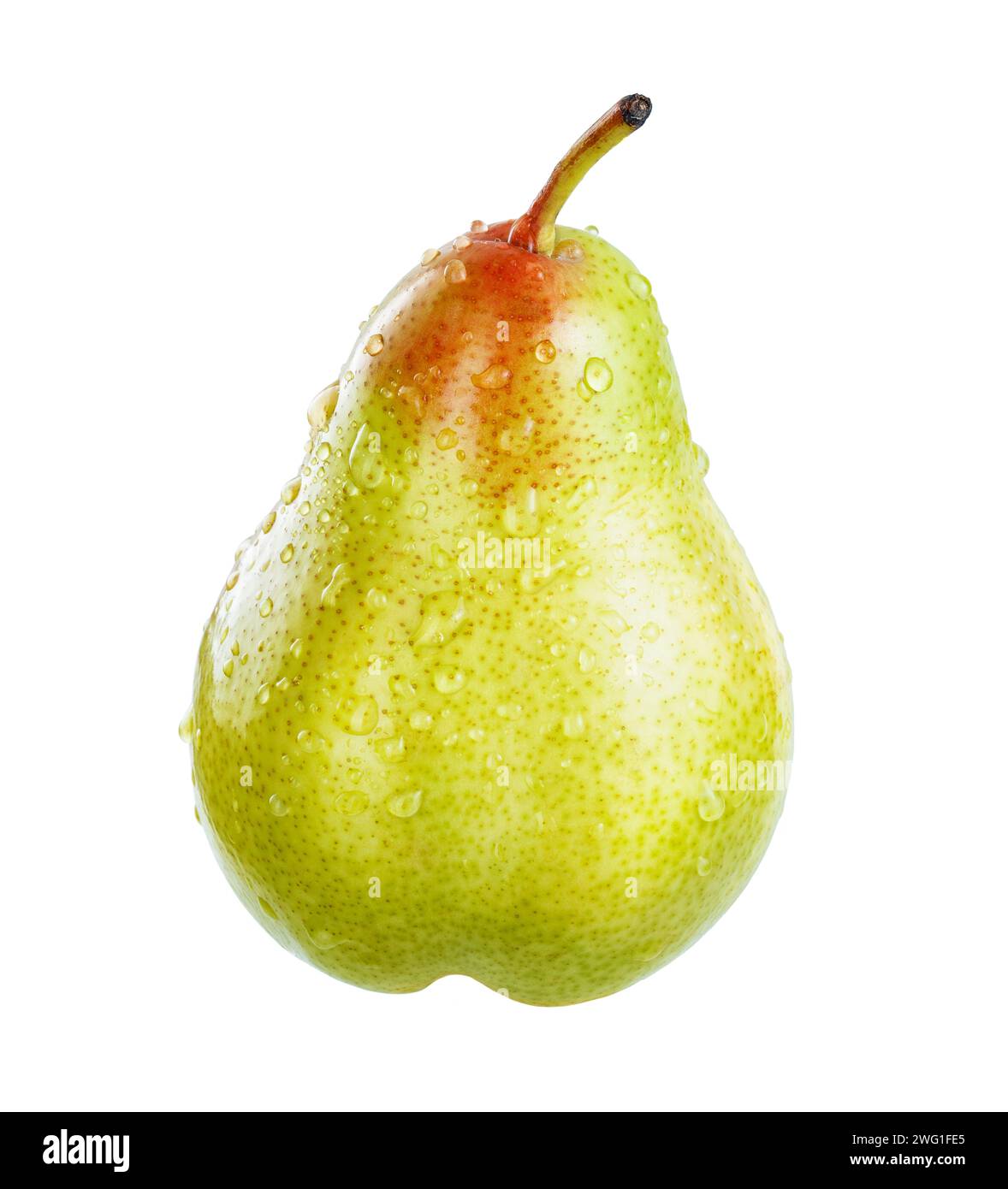 fresh yellow appetized pear with water drops isolated white background ...