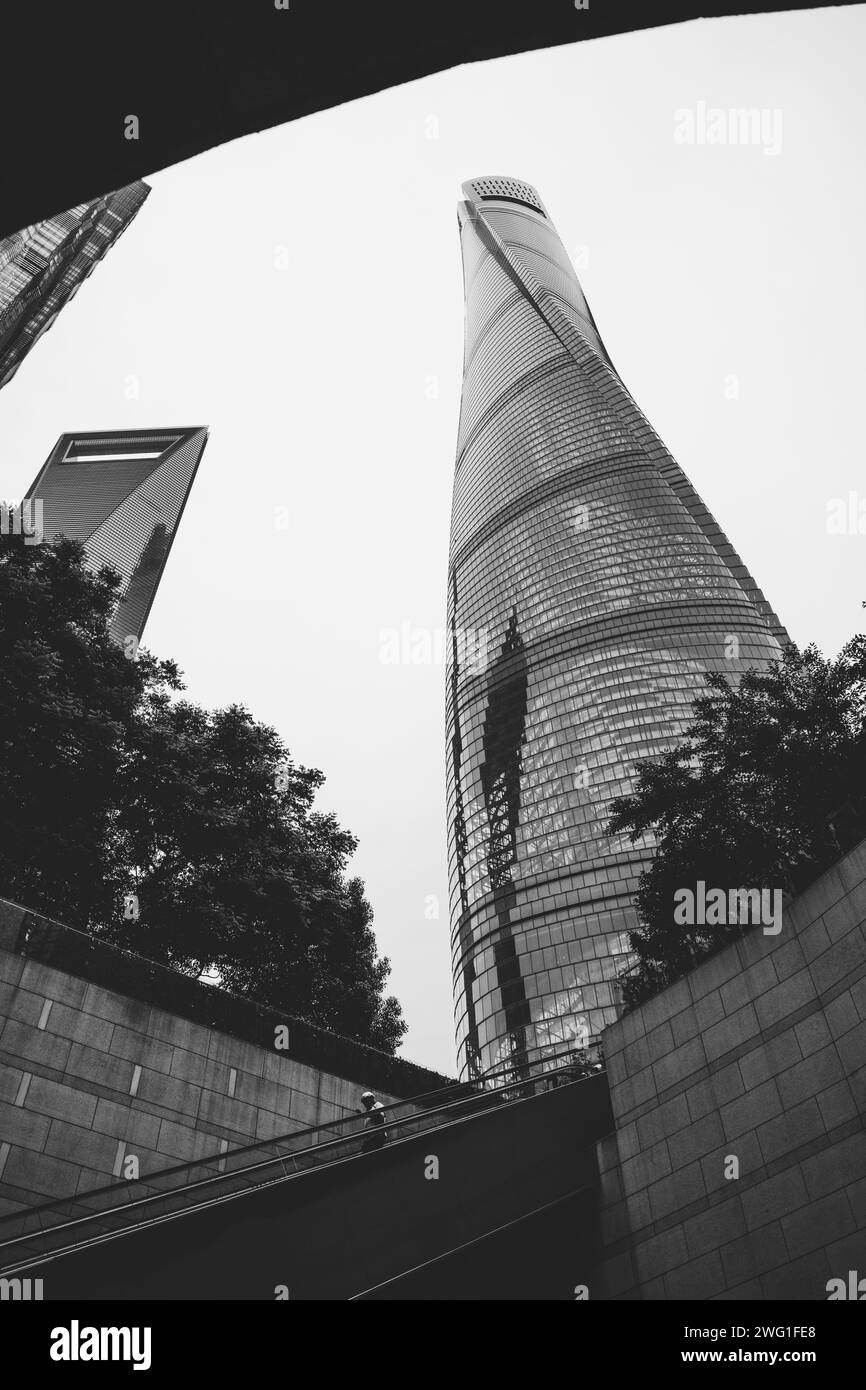 twisted skyscraper with leaves in Shanghai, China (Shanghai Tower Stock ... twisted skyscraper with leaves in Shanghai, China (Shanghai Tower Stock ...