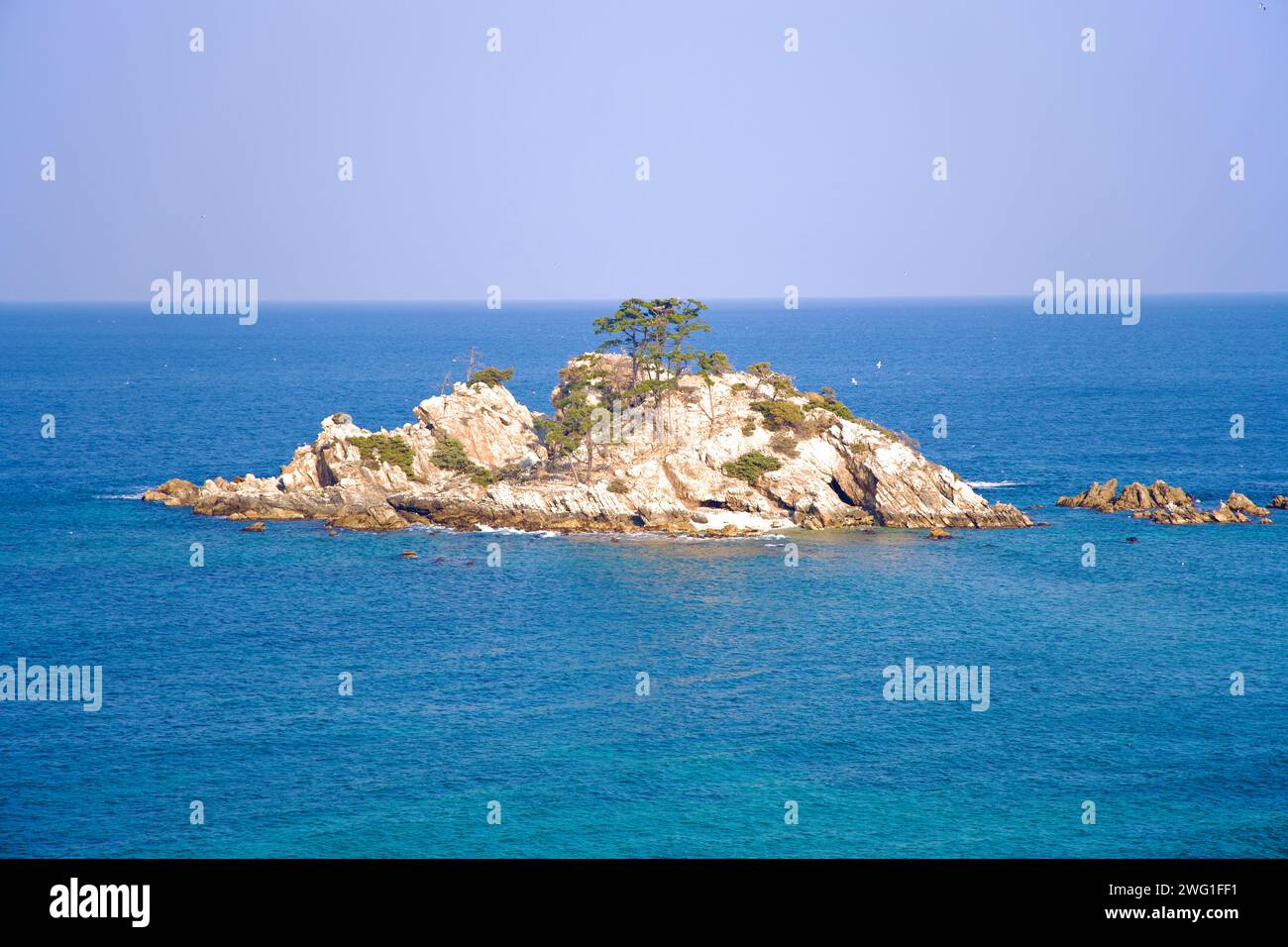 Samcheok City, South Korea - December 28, 2023: A close-up view of ...