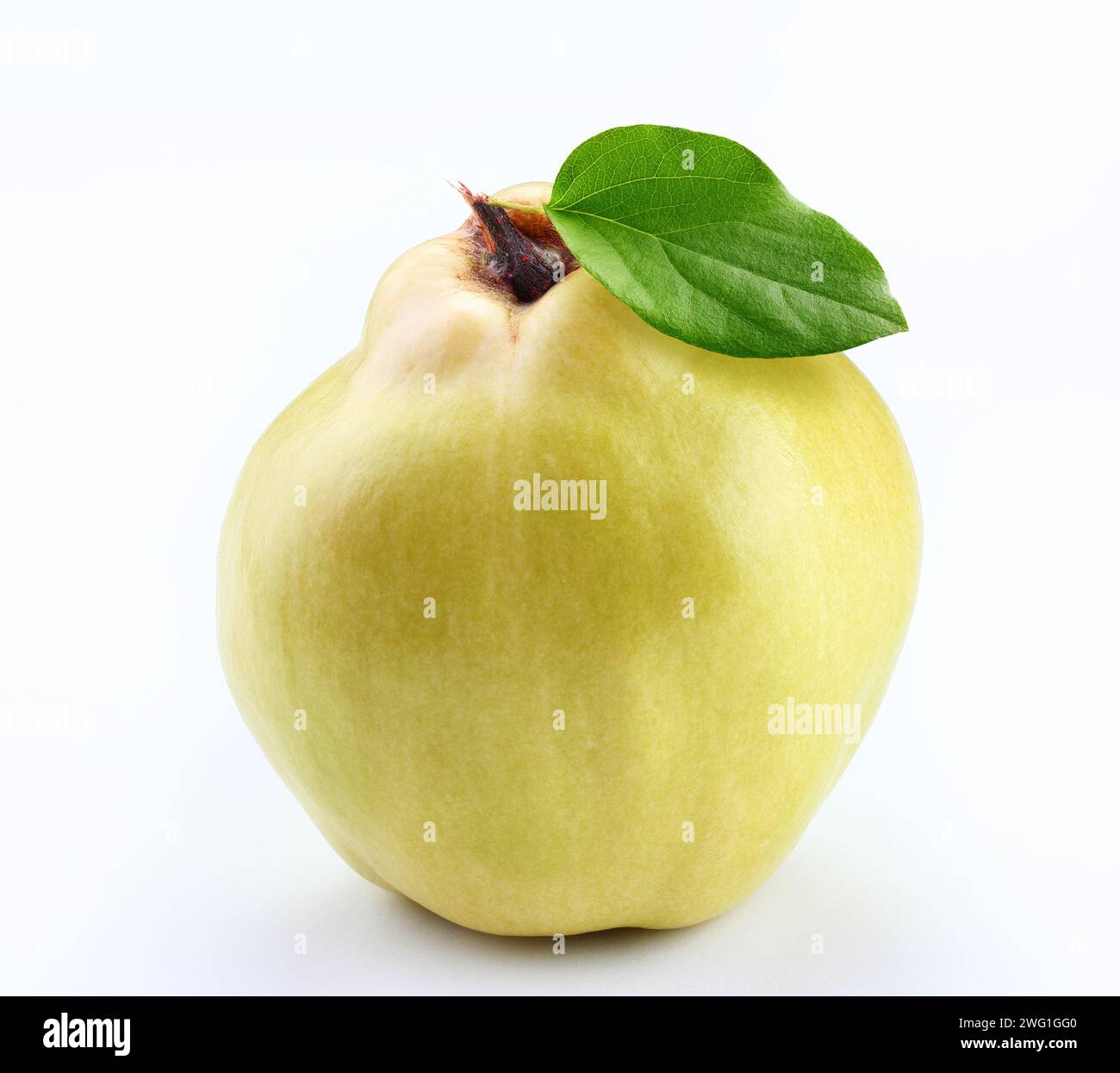 fresh yellow quince with slice isolated white background Stock Photo ...