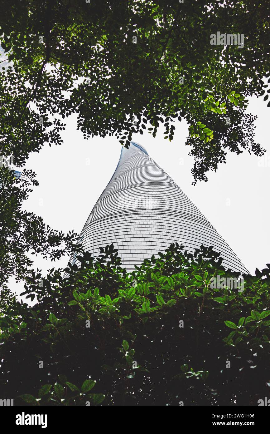 twisted skyscraper with leaves in Shanghai, China (Shanghai Tower Stock ...