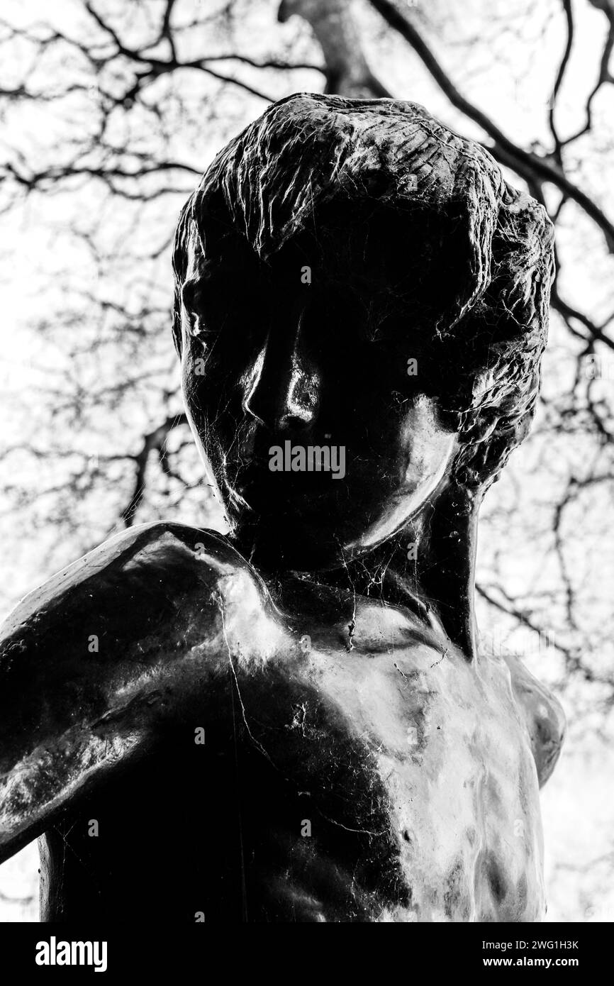 Bear, bear cubs Black and White Stock Photos & Images - Alamy