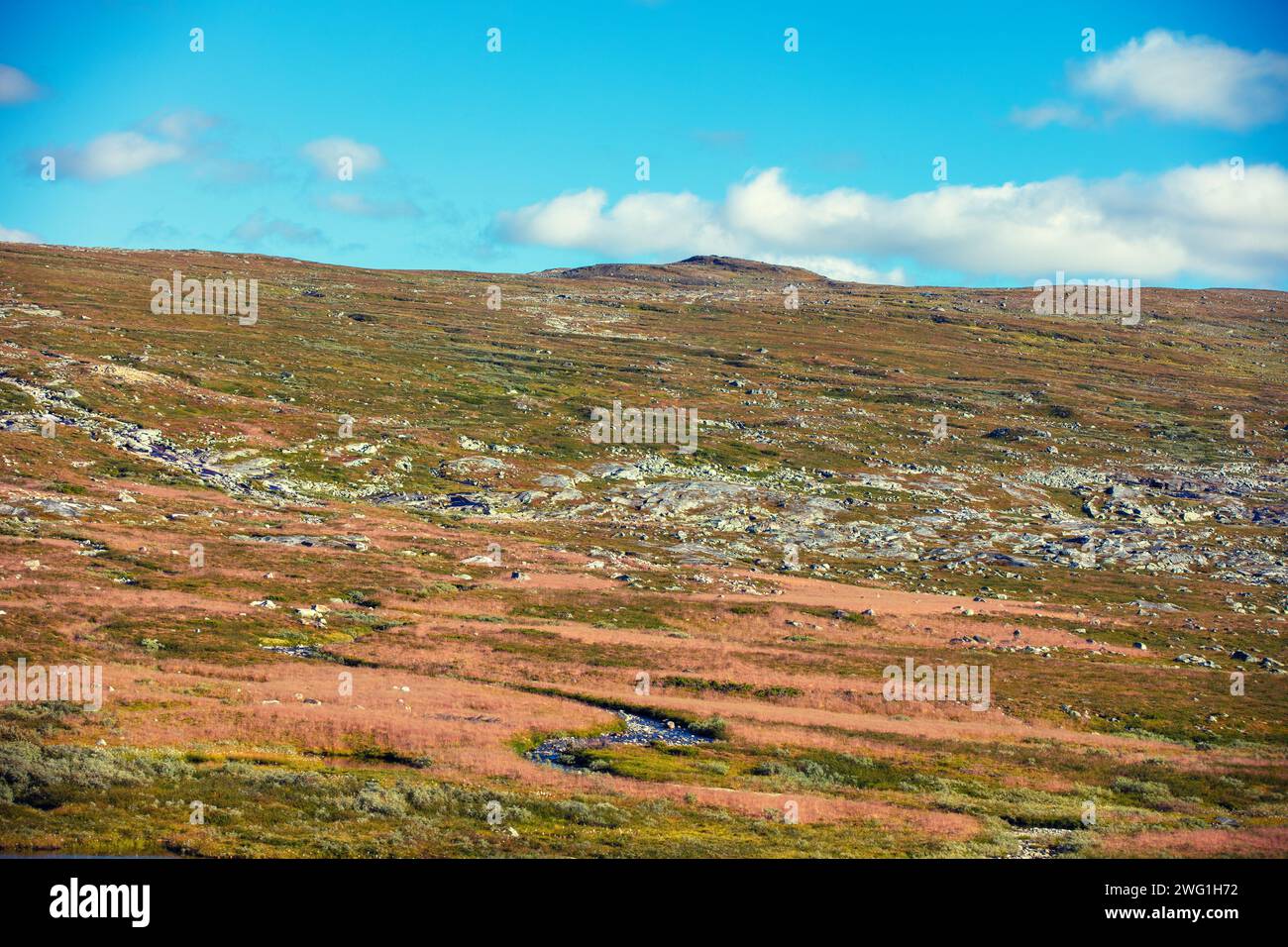 Arctic wilderness, tundra, minimalistic landscape. Nature of Norway ...