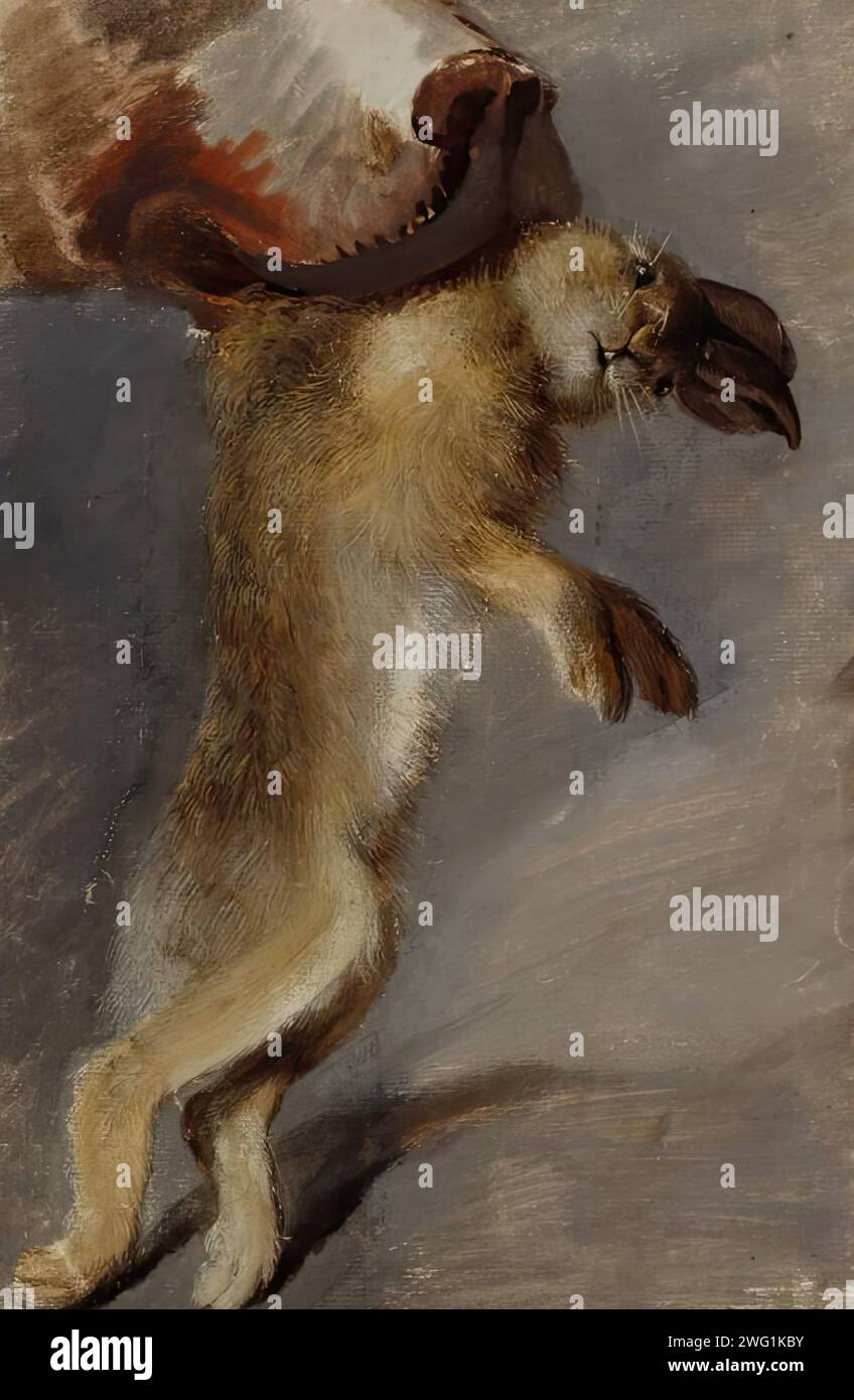 Study of a Hare, around 1815 Stock Photo - Alamy