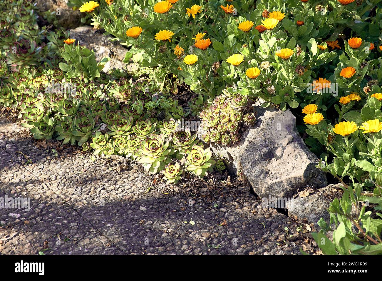 Stone planter in patio of town house. Planter detail plan Stock Photo ...