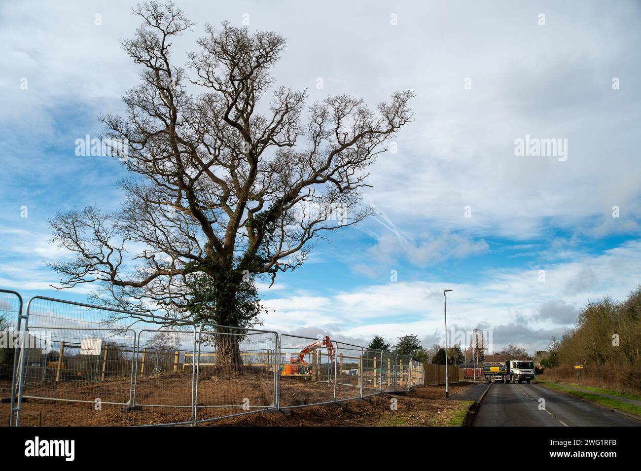 Save the happyman tree hi-res stock photography and images - Alamy