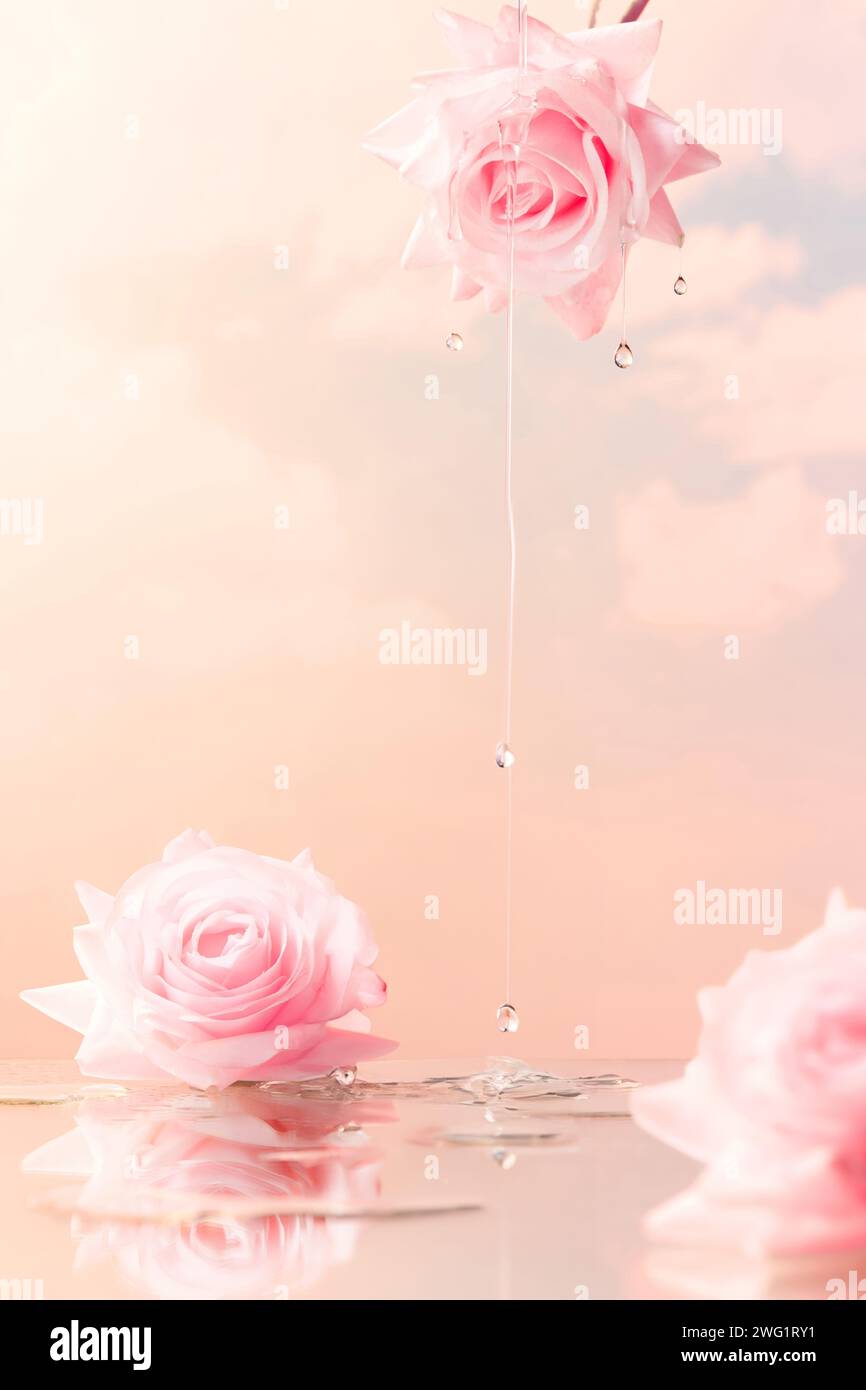 Product presentation backdrops, background for product shots, product ...