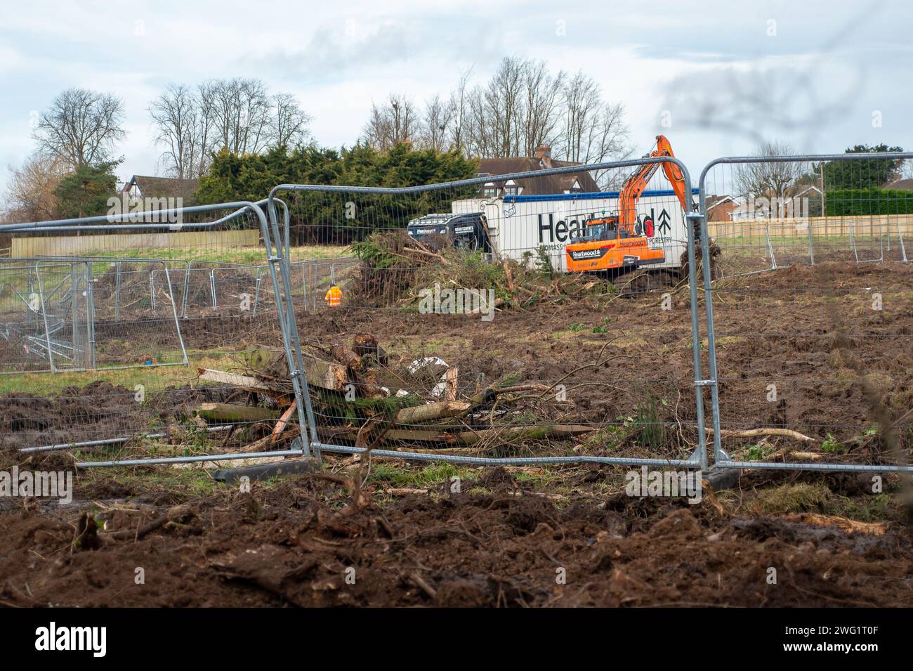 Maidenhead, UK. 2nd February, 2024. Having felled a Woodland Trust Tree ...